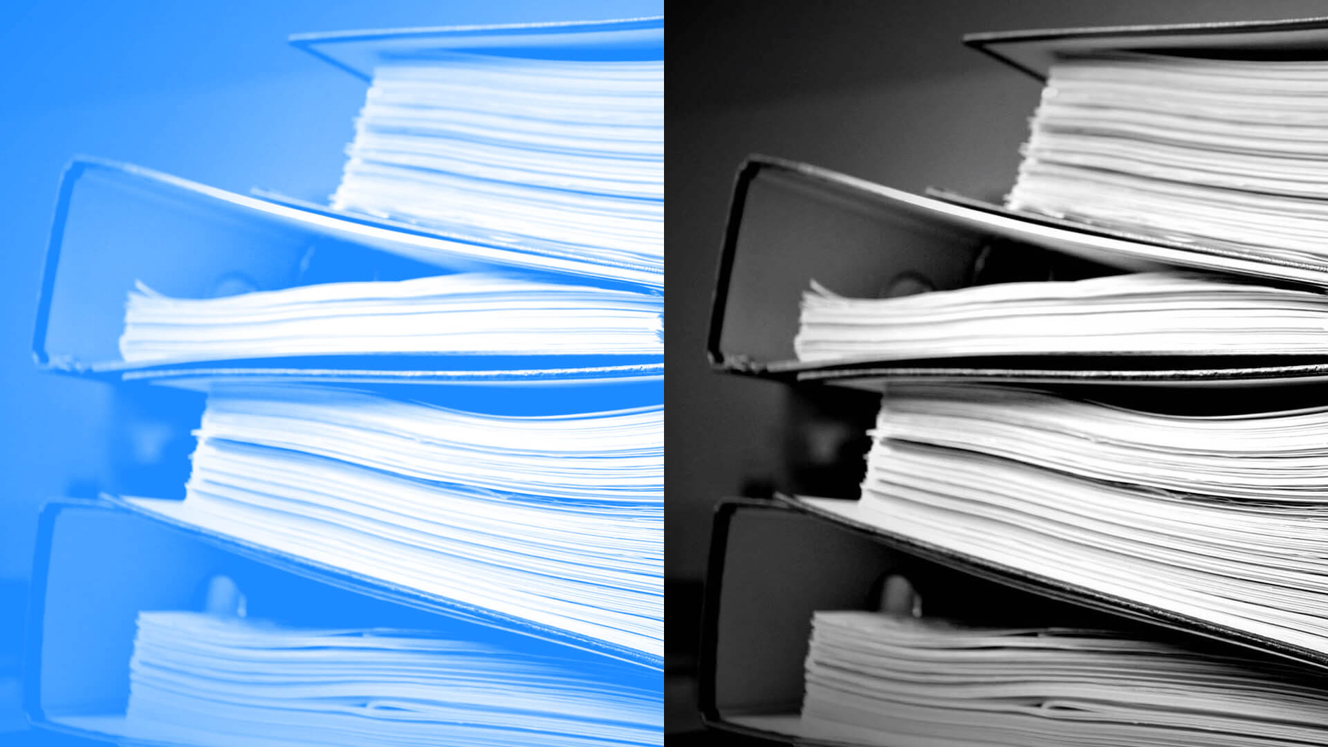 The Essential Guide to SAG Paperwork in 2024 | Wrapbook